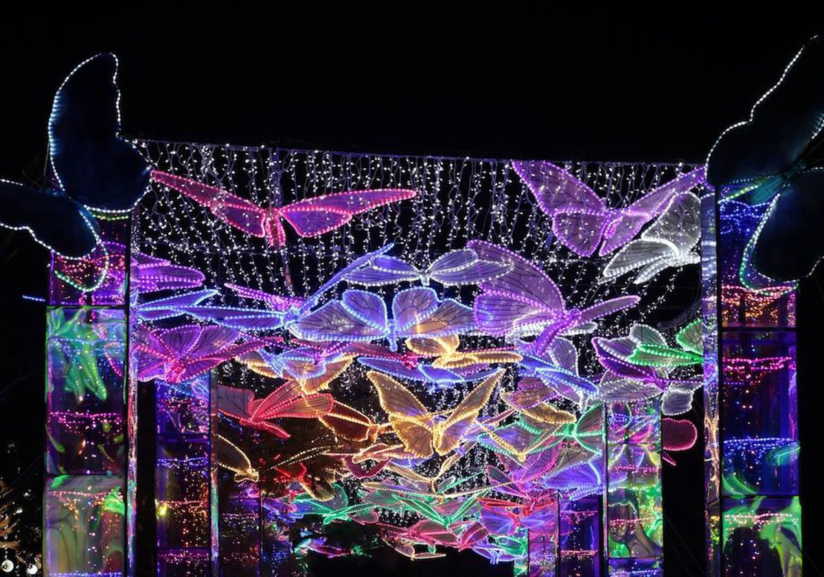Chinese christmas lights store